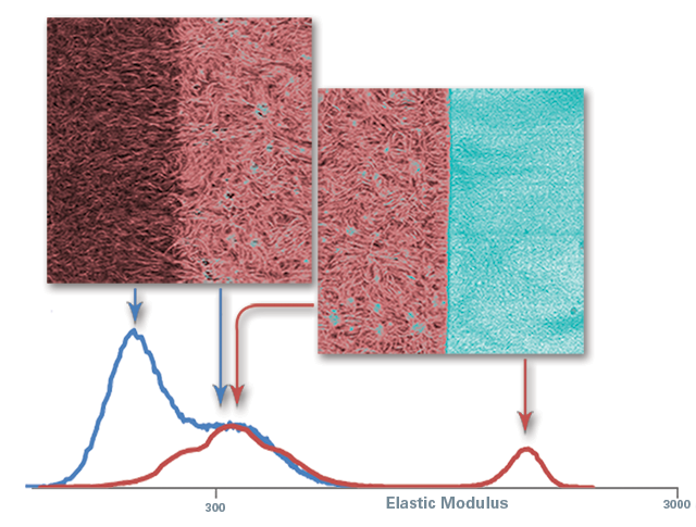 AFM for Polymer Research | Bruker