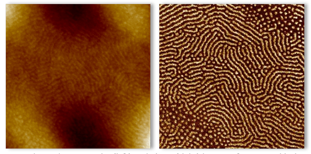 AFM for Polymer Research | Bruker