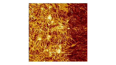 AFM Mode Mechanical | Bruker