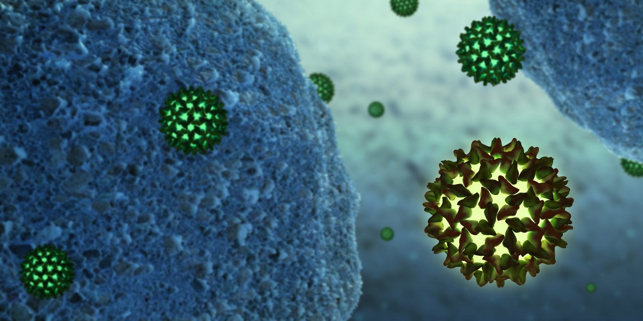 GENERIC HBV VIRAL LOAD VER 2.0 | Bruker