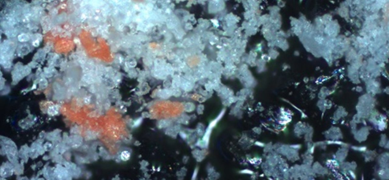 Guide de la spectroscopie Raman | Bruker