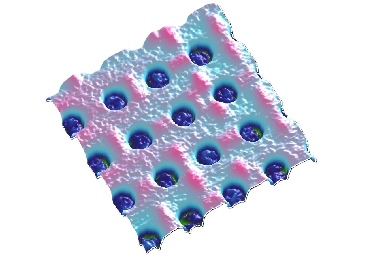 InSight 300 | Bruker