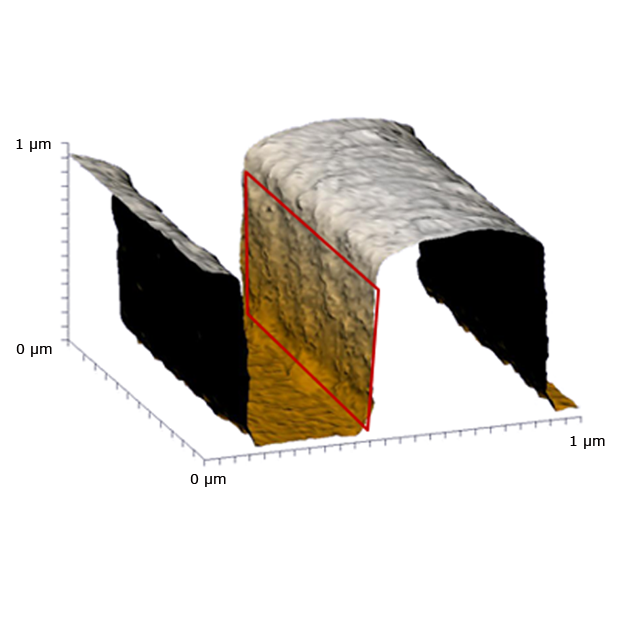 InSight AFP | Bruker