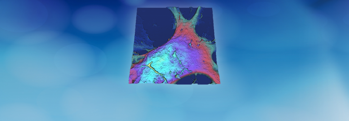 Bruker Online Lab - BioAFM - High-Speed AFM and Cell Mechanics | Bruker