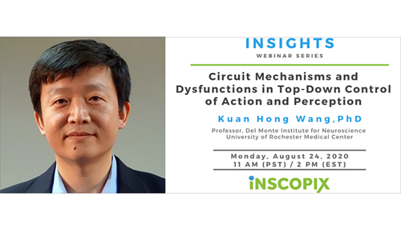 Circuit Mechanisms and Dysfunctions in Top-down Control of Action and ...