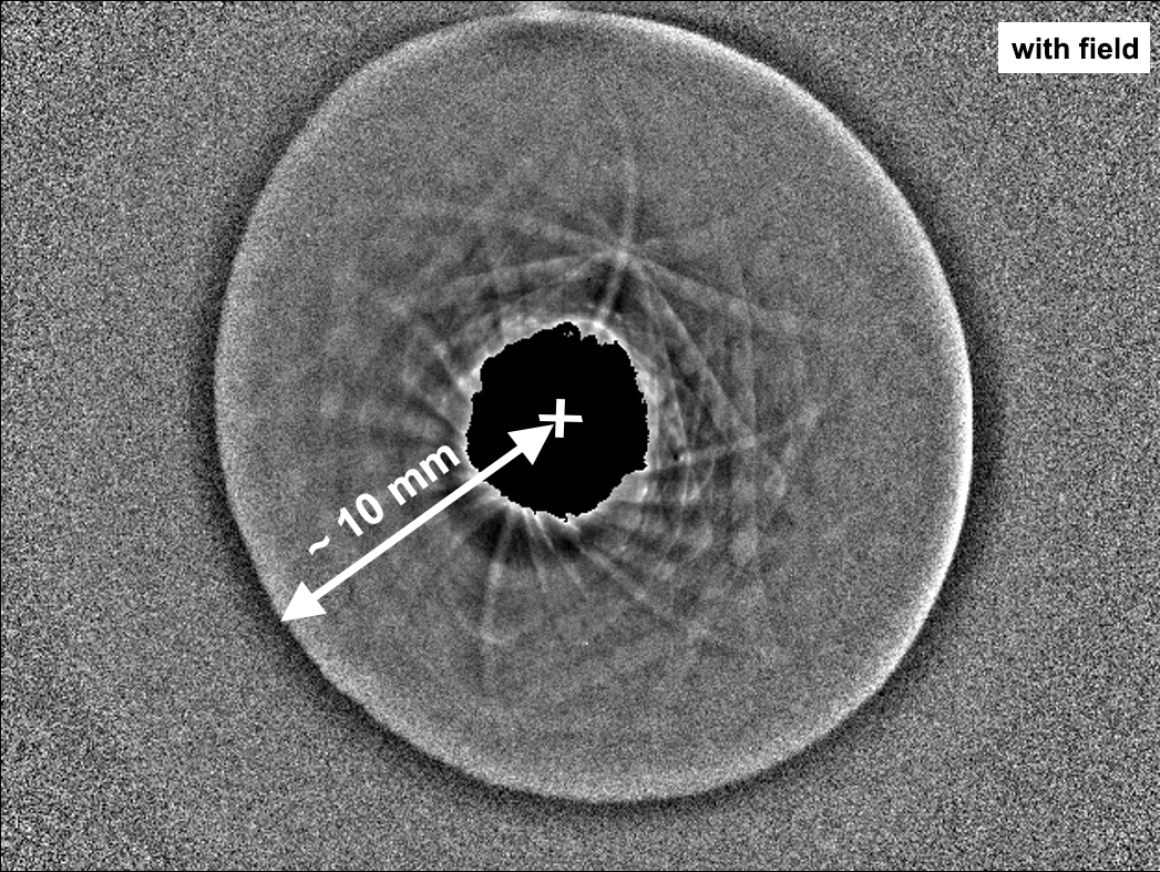 Enabling Nano-Scale TKD Mapping in Immersion/UHR Mode of certain FE ...