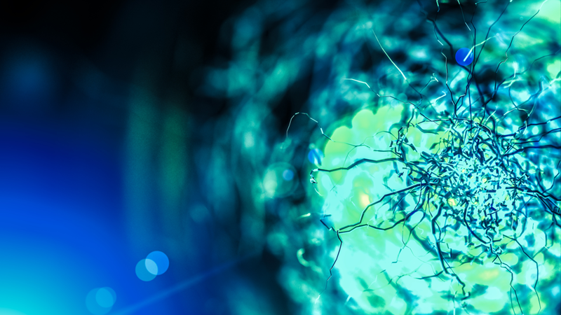 Soluzioni di microscopia a fluorescenza | Bruker