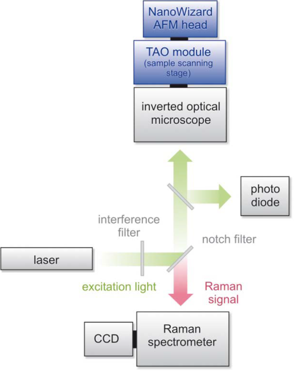 Tech Note: Tip-Enhanced Raman Scattering (TERS) combining JPK ...