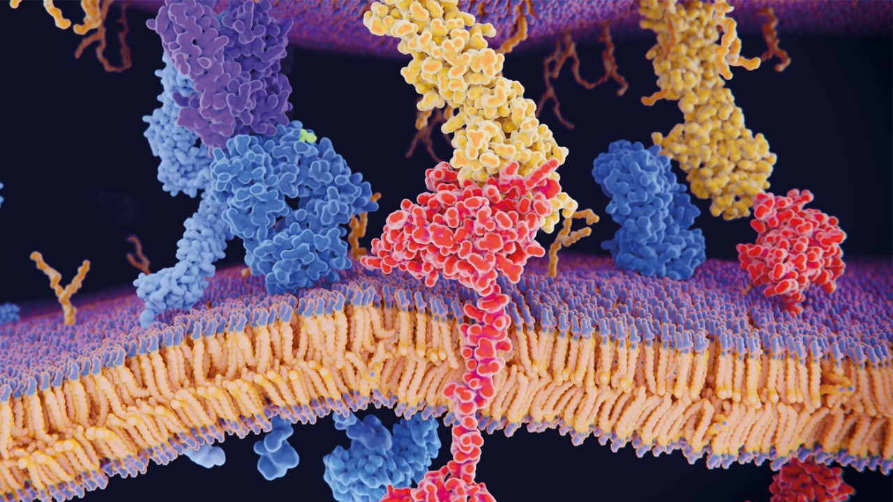 Risonanza plasmonica di superficie | Bruker