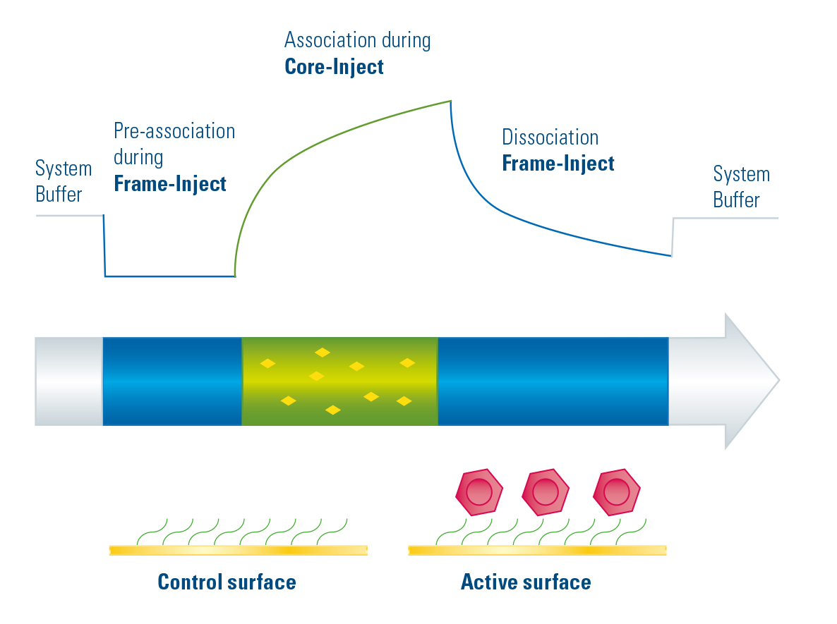 regeneration buffer spr
