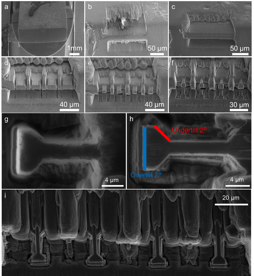 Direct Pull Tension Testing with the Hysitron PI 89 SEM PicoIndenter ...