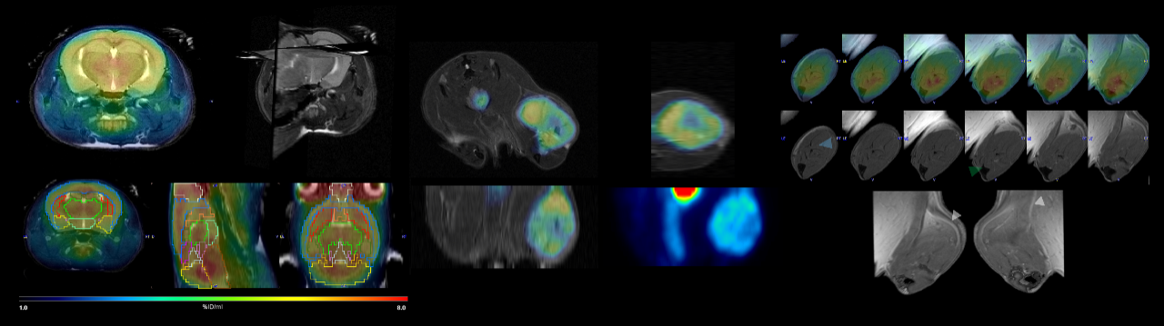 Metabolic Imaging Techniques | Bruker