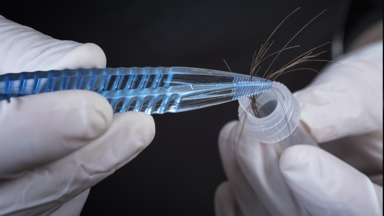 Criminal Forensics | Bruker