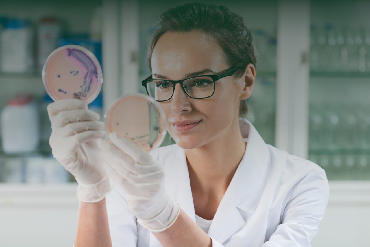 Clinical Microbial Identification | Bruker