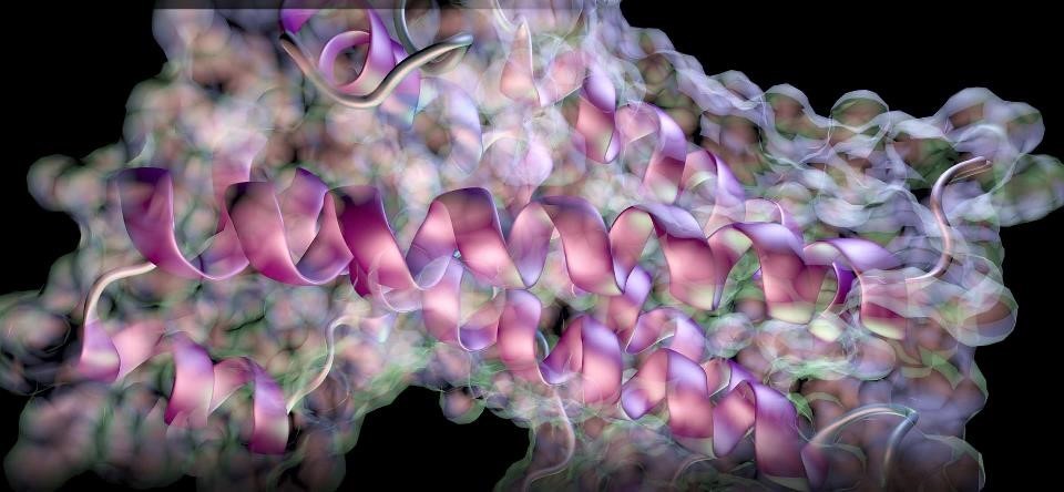 Biologics and Biosimilars Characterization | Bruker