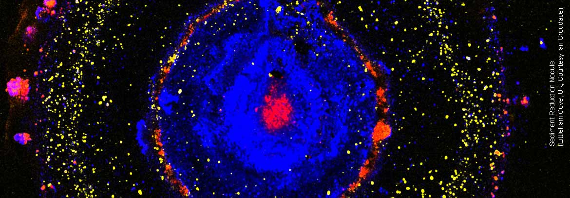 Explore Micro-XRF in the Geosciences | Bruker