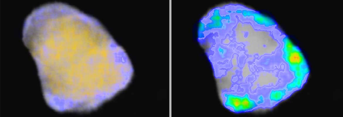 TEM, STEM and T-SEM EDS Quantification at its Best | Bruker