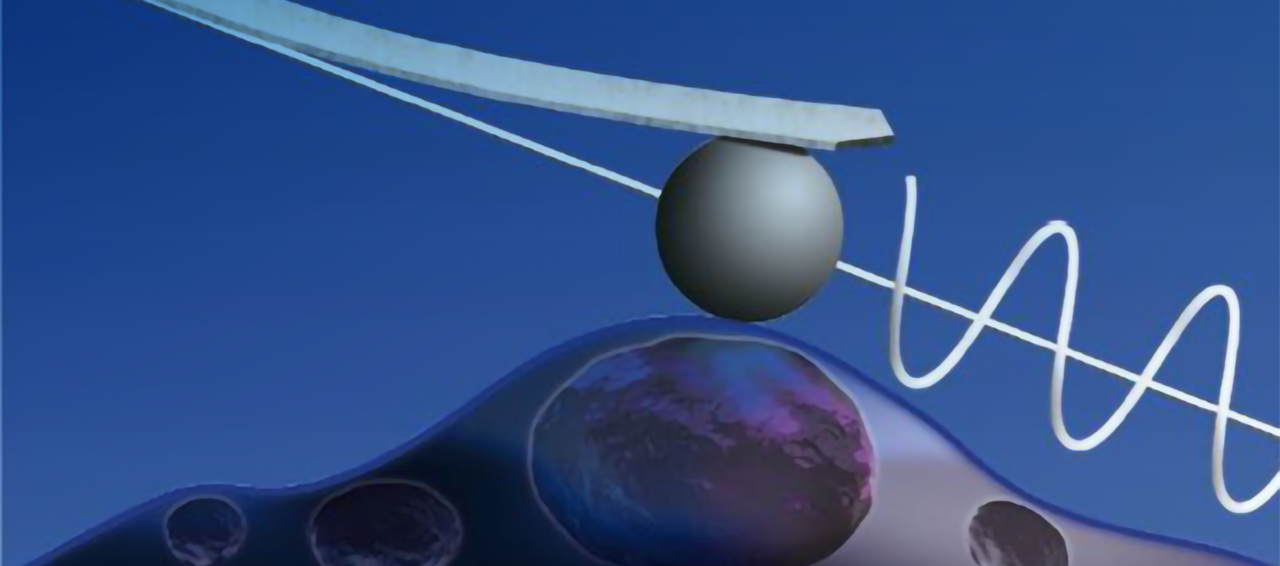 Latest Advances in BioAFM: From Nanomechanical Studies to High-Speed ...