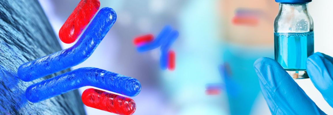 TD-NMR | Pharma | BioPharma | Bruker