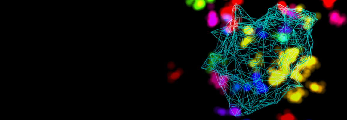 Uncovering Transcription Condensate Organization with Single Molecule ...