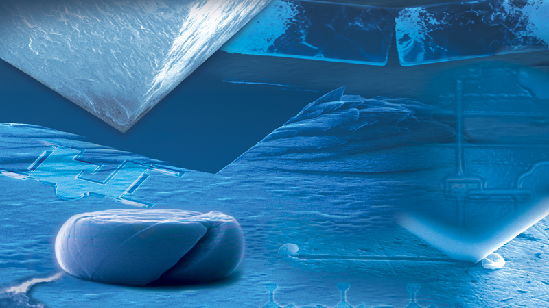 In-Situ Nanomechanical Testing with the Hysitron PI Envision and PI 89 ...