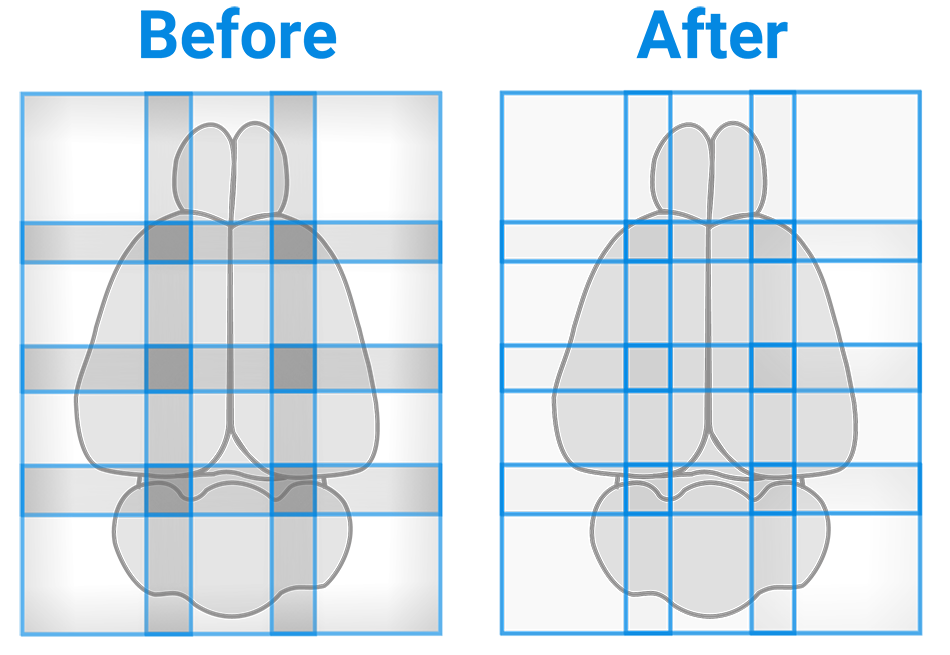 Flatfield Correction in Light-Sheet Fluorescence Microscopy | Bruker
