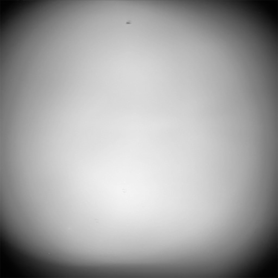 Flatfield Correction In Light Sheet Fluorescence Microscopy Bruker
