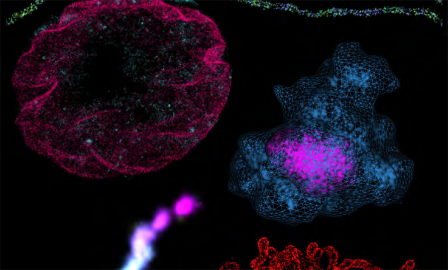 Application Note: Single Molecule Localization Microscopy - Introduction & Applications | Bruker