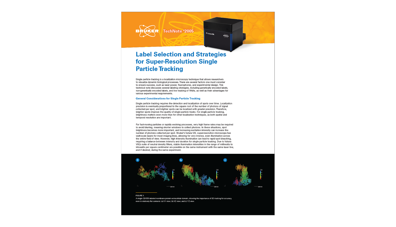 Tech Note: Label Selection and Strategies for Super-Resolution Single ...