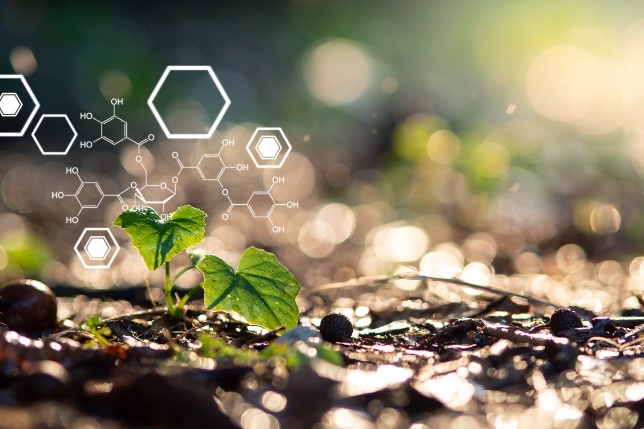 Natural Products | Bruker