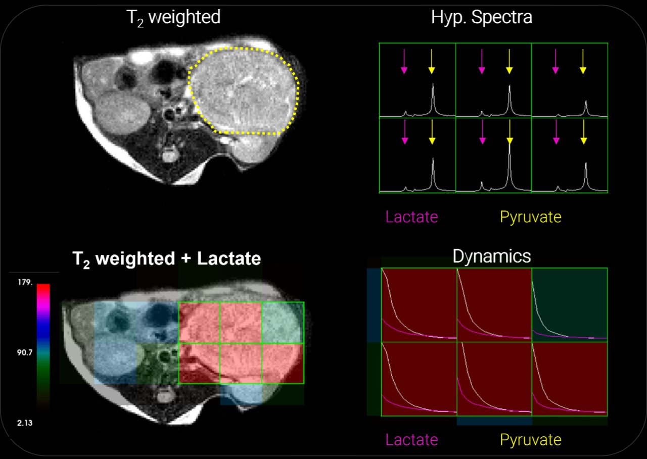 BioSpec Maxwell | Bruker