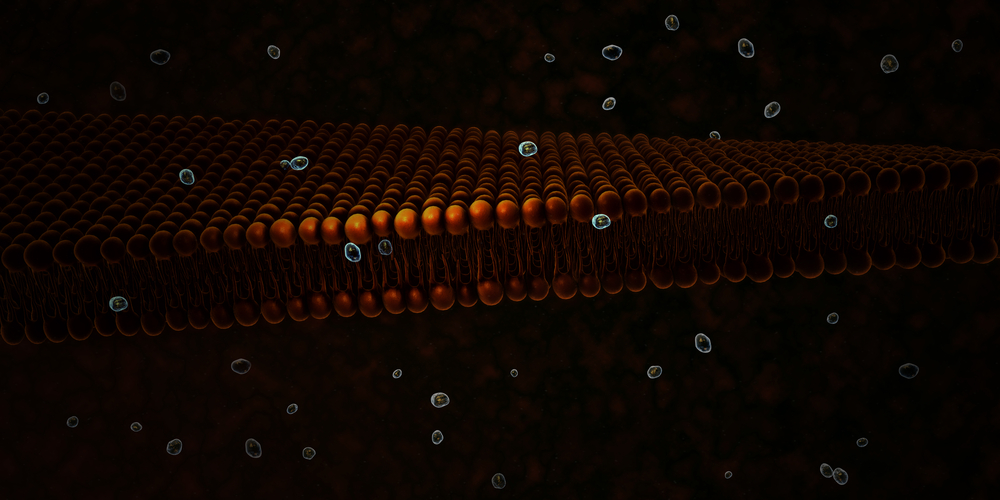 Novel epr hybrid technique provides greater detail on the structure of ...