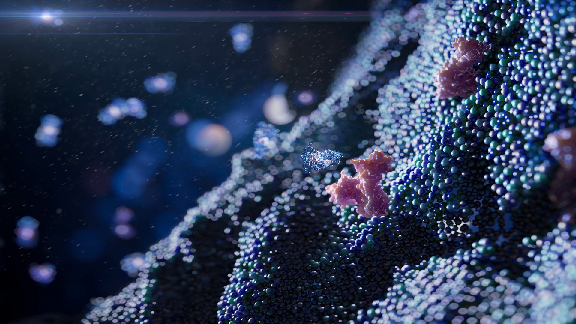 Metabolic Imaging Techniques | Bruker