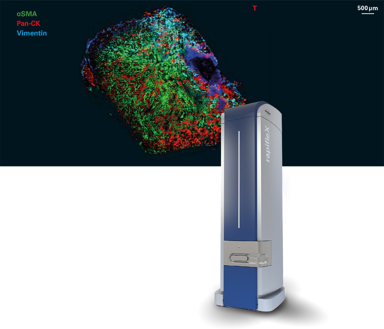 MALDI HiPLEX-IHC | Bruker