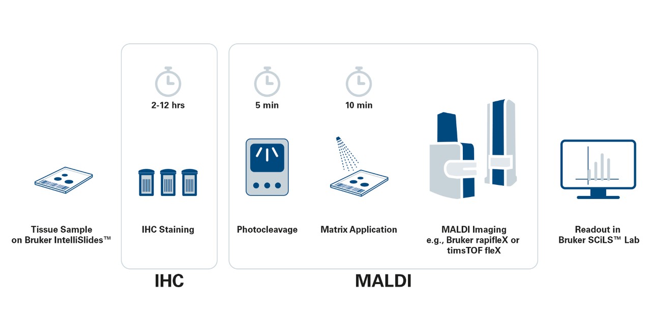 MALDI HiPLEX-IHC | Bruker