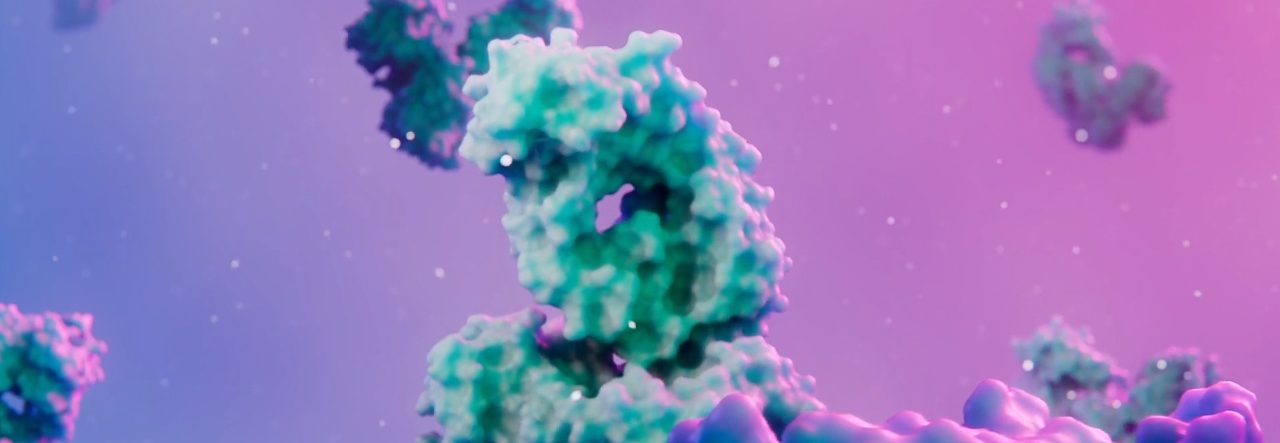 Comparative assessment of mAb higher order structure in ...