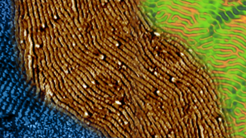 Nanoscale Surface Characterization of Polymeric Materials and Products ...