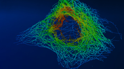 Dye Selection and Labeling Strategies for Super-Resolution Microscopy ...
