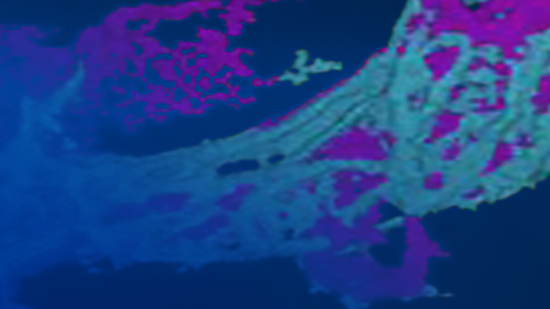 RAIN-STORM: Imaging the Molecular Architecture of Nervous System Tissue ...