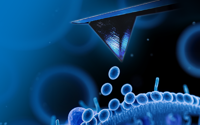 Performing Accurate Force Measurements on Biological and Soft Matter ...