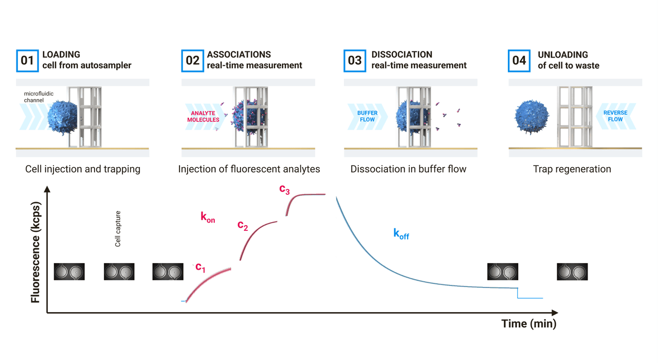 Single-Cell Interaction Cytometry | Bruker
