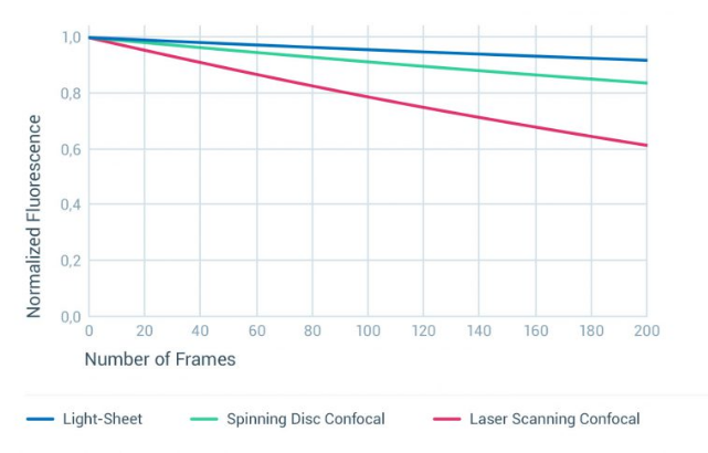 Why Choose a Light-Sheet Microscope | Bruker