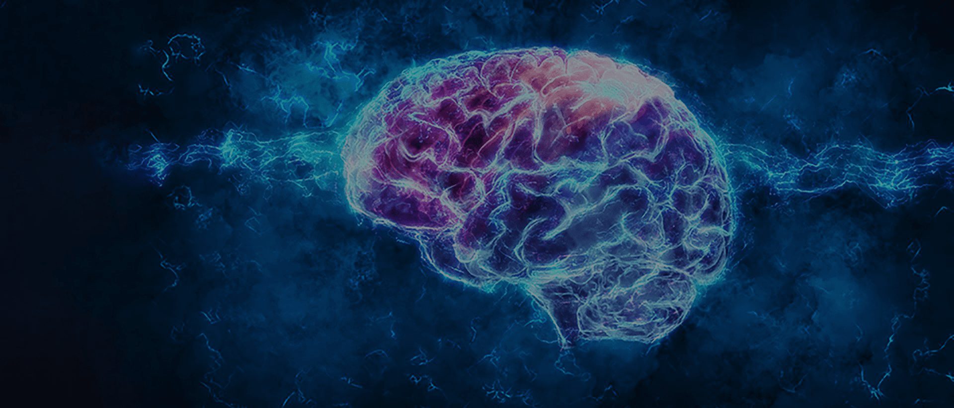 Miniscopes and Multi-region Miniscopes | Bruker