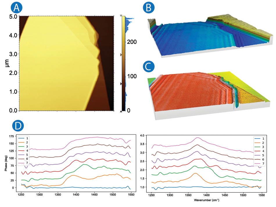 2d Materials Characterization Using Nanoscale Ftir Spectroscopy And Near Field Imaging Bruker