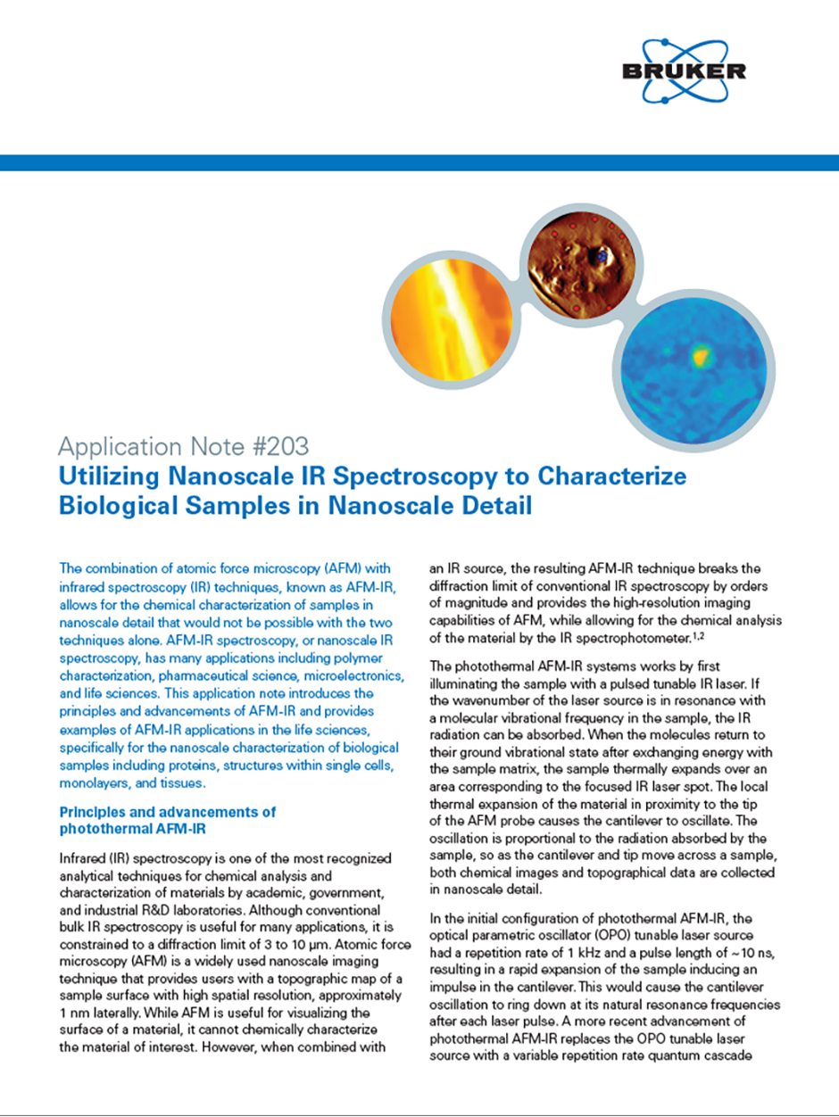Utilizing Nanoscale IR Spectroscopy to Characterize Biological Samples ...