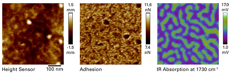Resonance Enhanced Force Volume AFM-IR (REFV AFM-IR) | Bruker