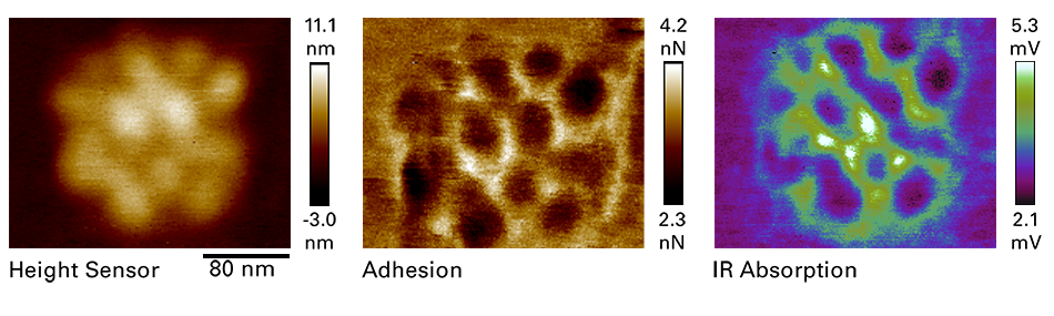 Resonance Enhanced Force Volume AFM-IR (REFV AFM-IR) | Bruker
