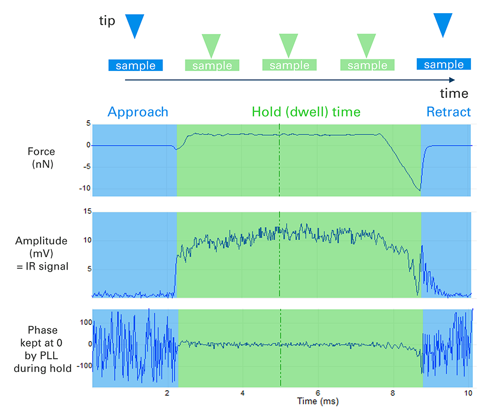 Resonance Enhanced Force Volume AFM-IR (REFV AFM-IR) | Bruker