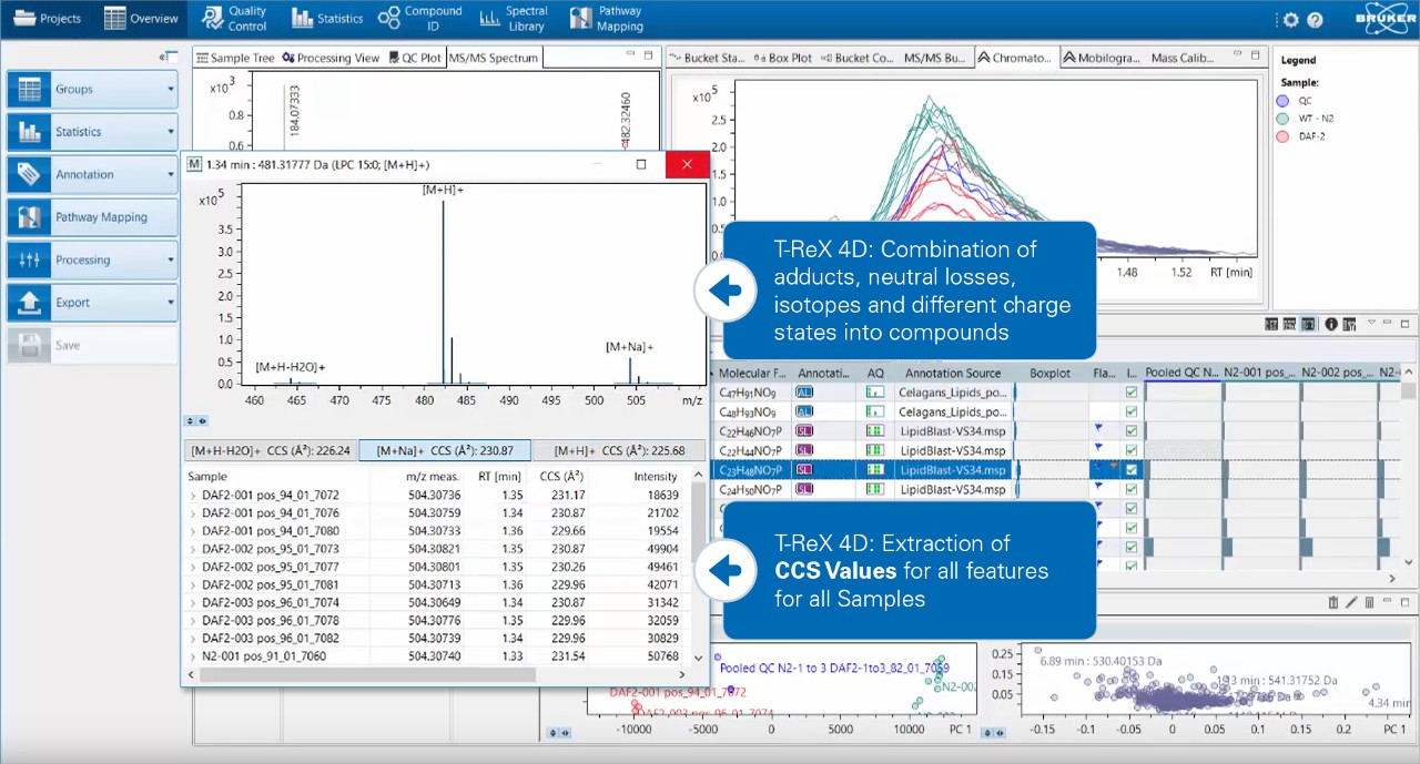 MetaboScape | Bruker