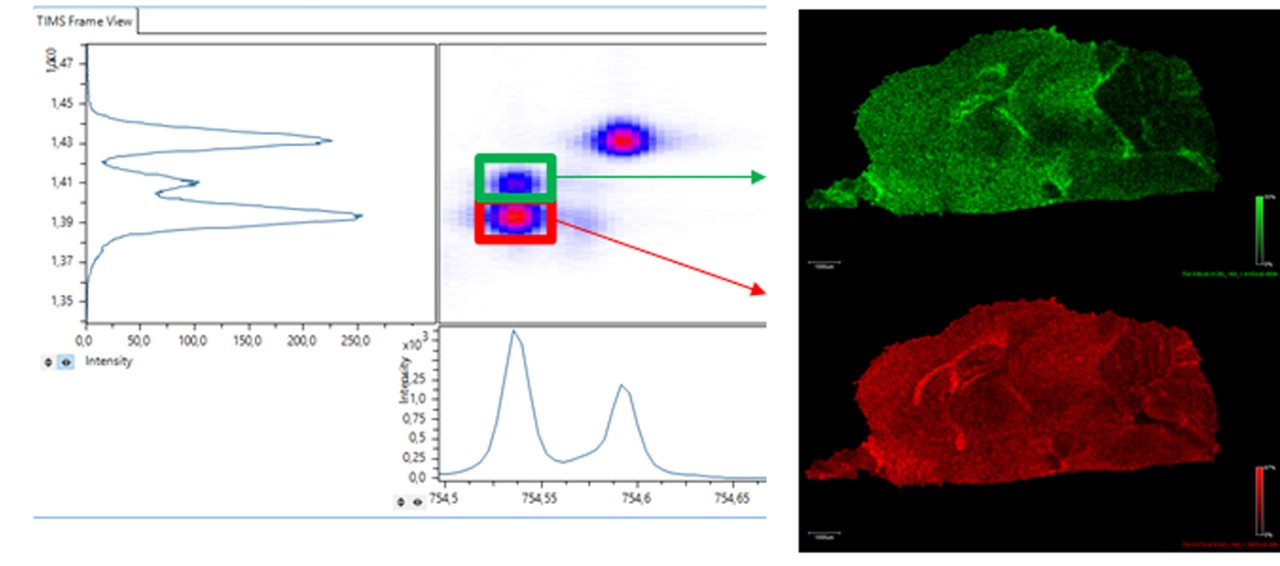 timsTOF fleX | Bruker